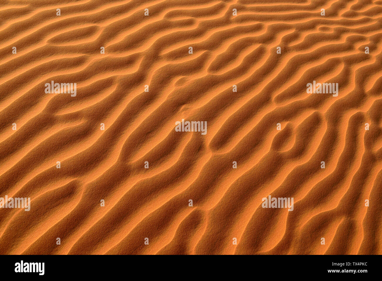 United Arab Emirates, Rub' al Khali, desert sand and ripple marks Stock ...