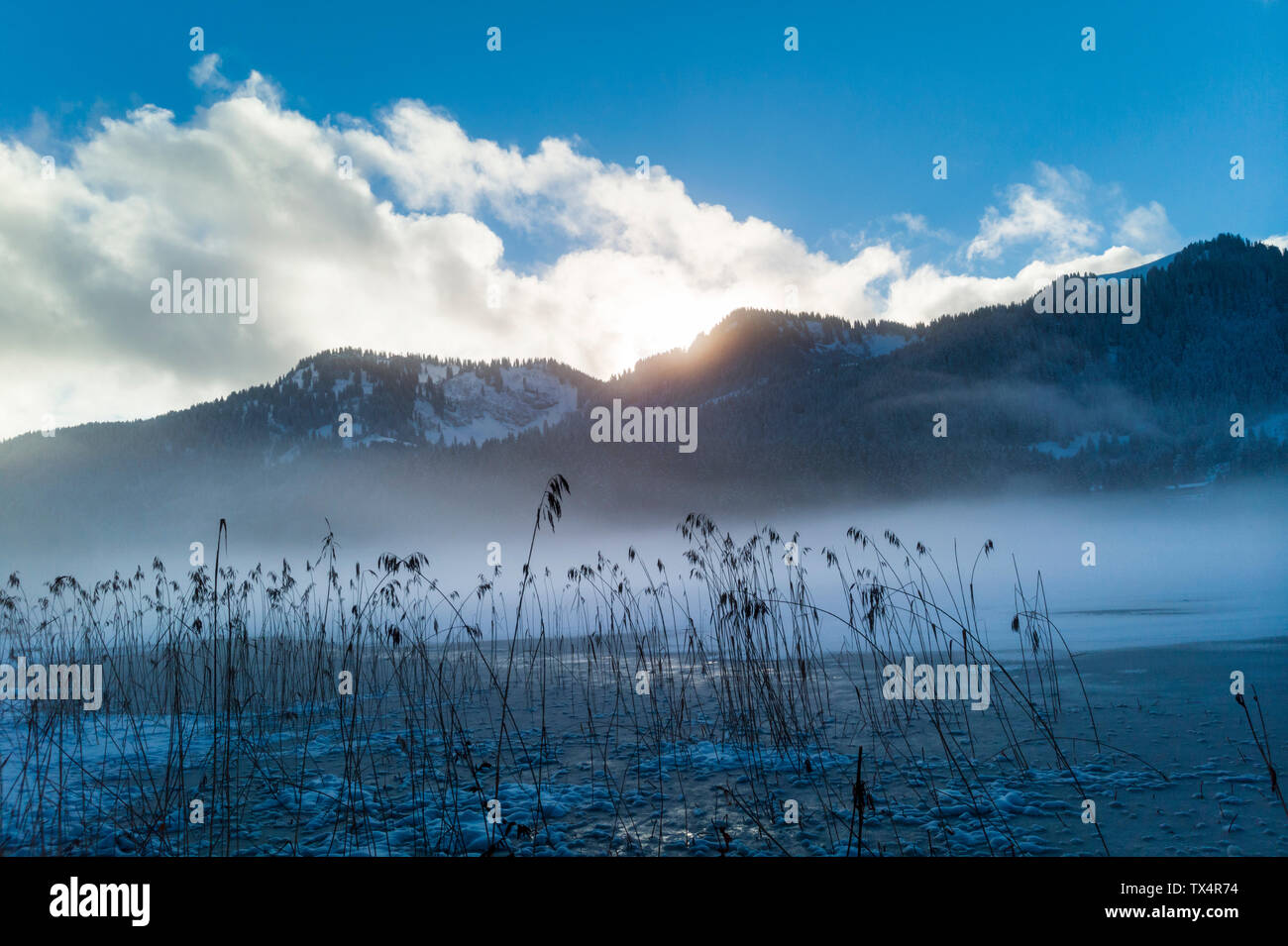Spitzingsee hi-res stock photography and images - Alamy