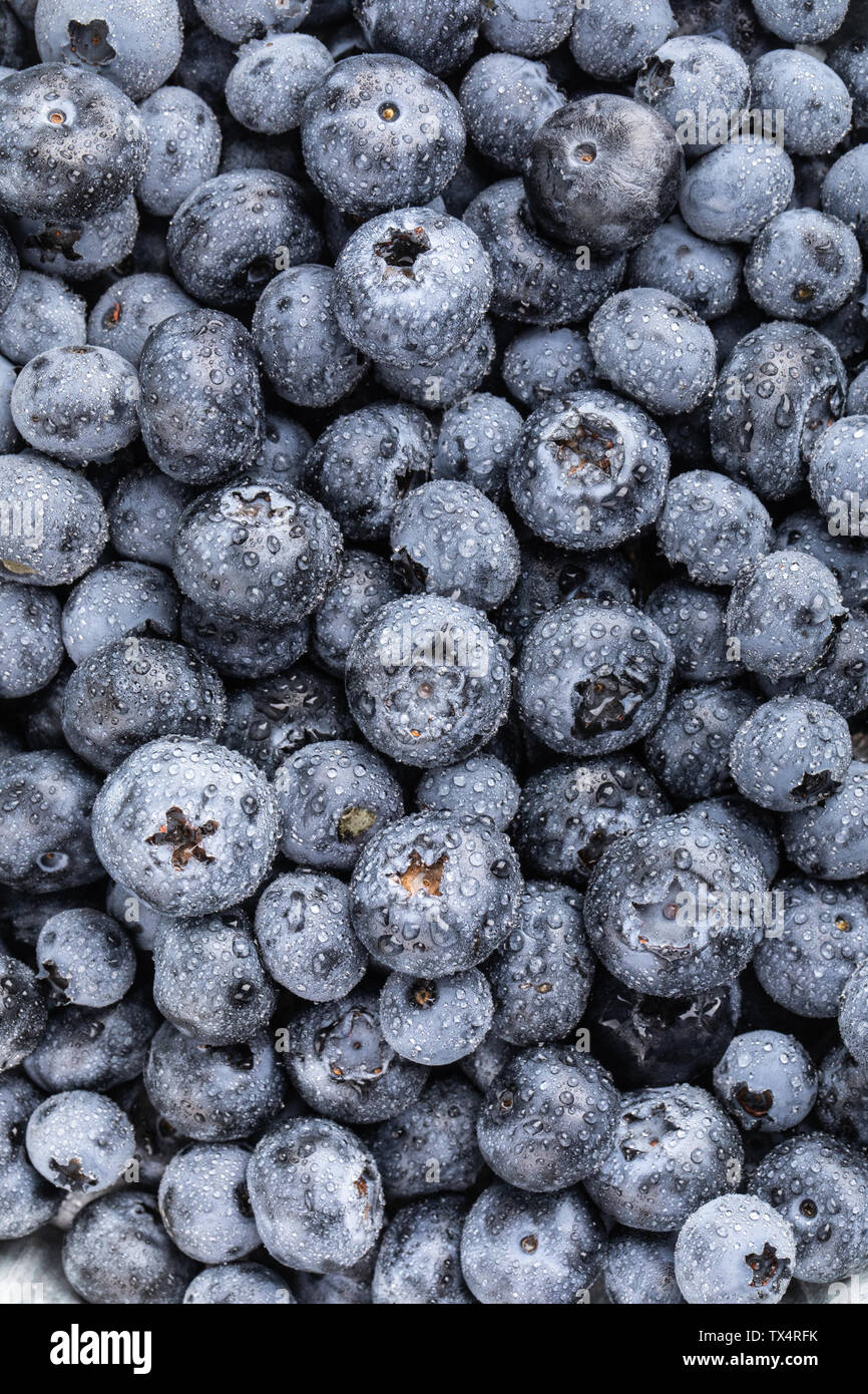 Blueberry creative photography Stock Photo - Alamy