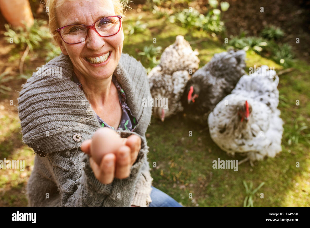 Happy Hen Breed High Resolution Stock Photography and Images - Alamy