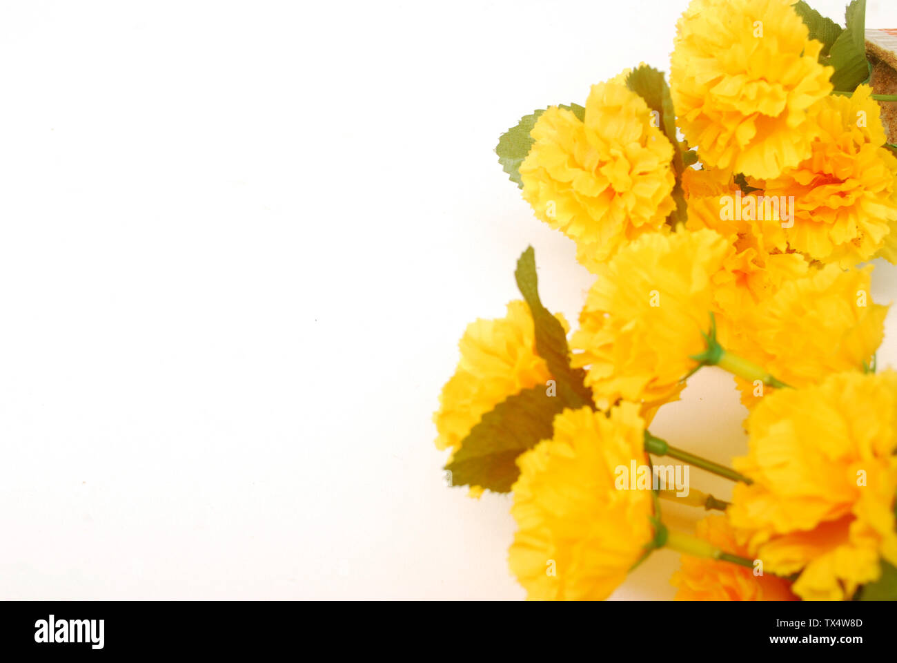 Fake marigold on white background Stock Photo - Alamy