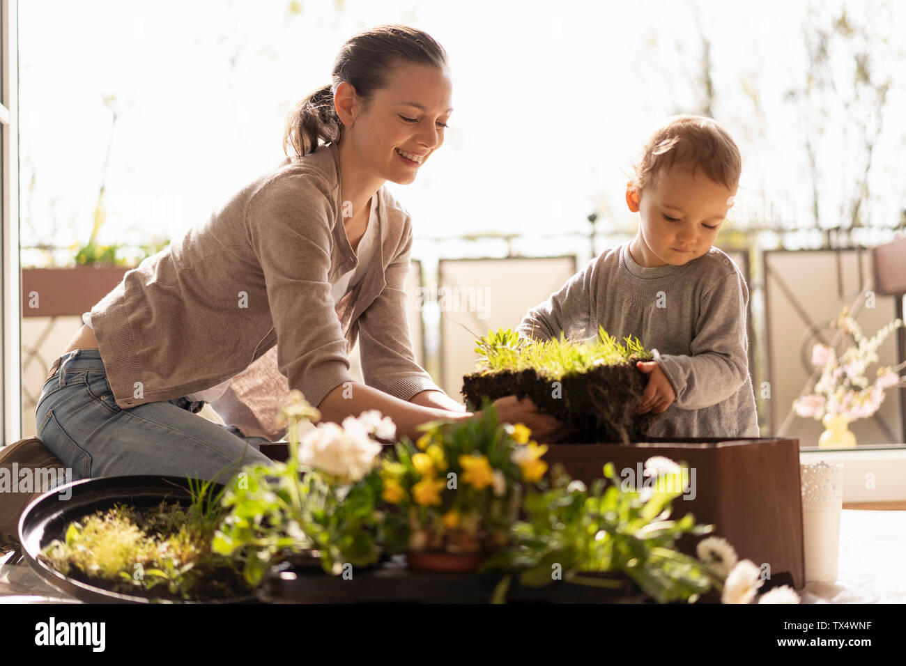 Mother and daughter planting flowers together on balcony Stock Photo ...
