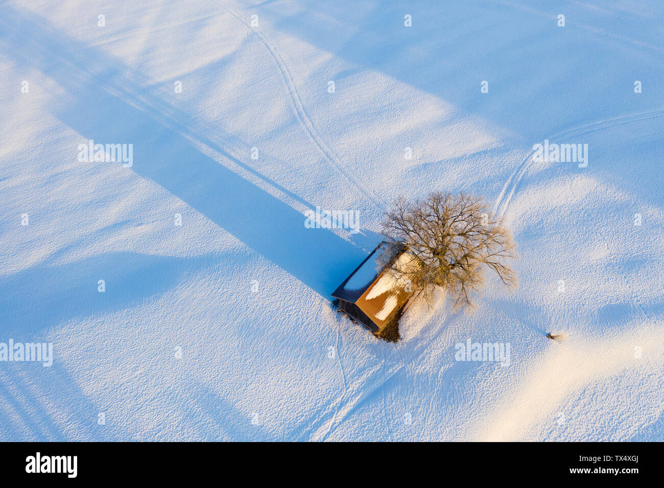 Tree hut hi-res stock photography and images - Alamy