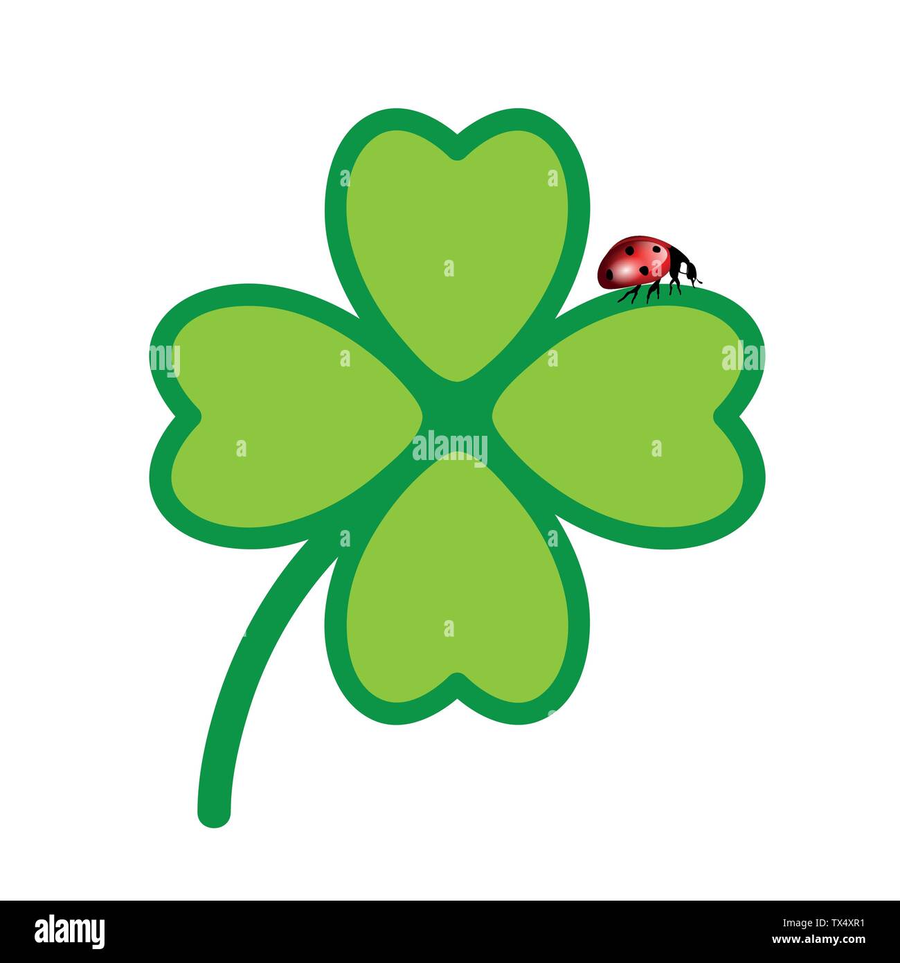 green cloverleaf with lady bug isolated on white background vector ...