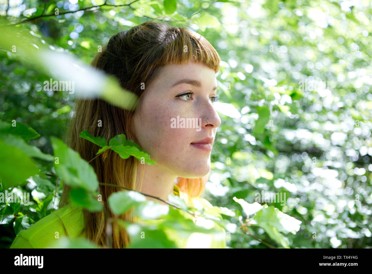 Forest fringes hi-res stock photography and images - Alamy