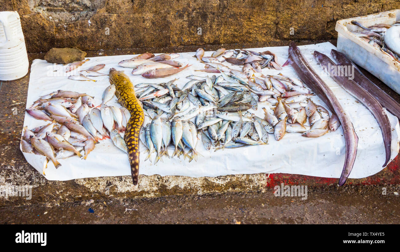 Fish morocco hi-res stock photography and images - Alamy
