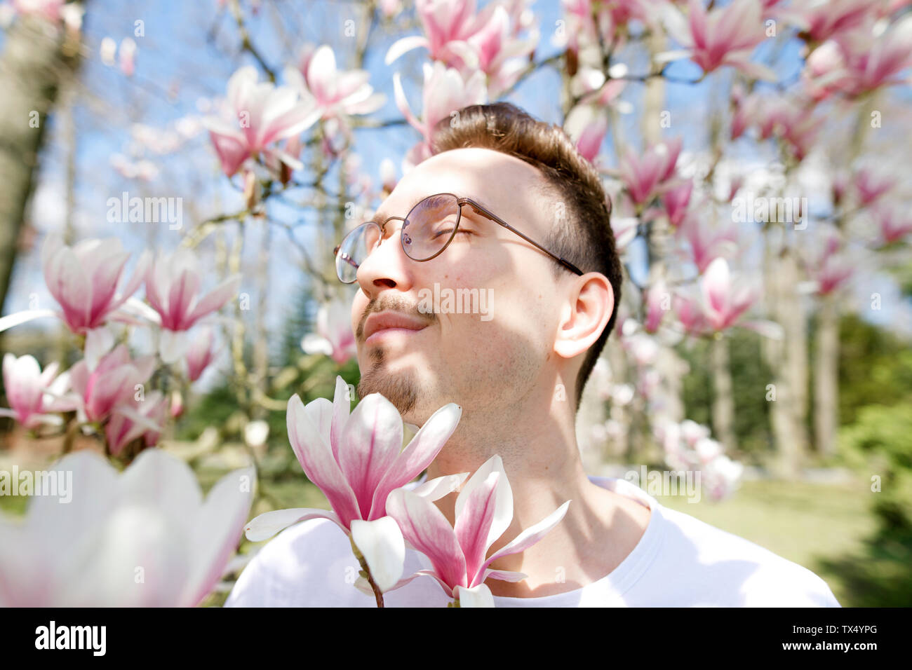 Magnolia young hi-res stock photography and images - Alamy