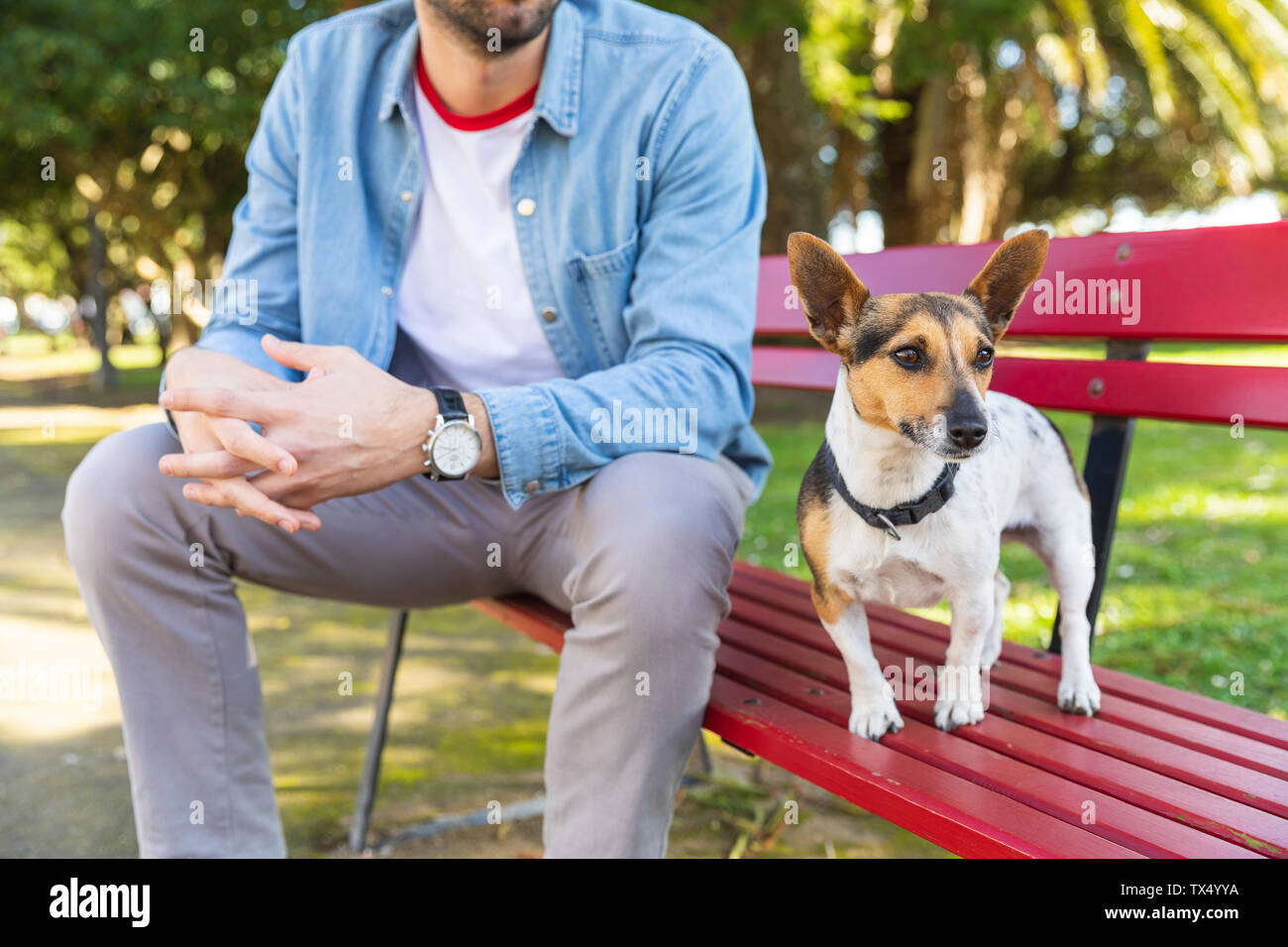 Dog on park bench with his owner Stock Photo - Alamy