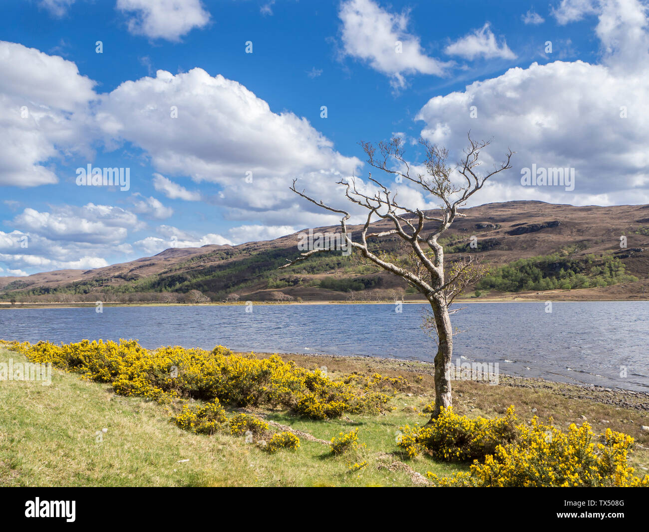 Northwest highlands hi-res stock photography and images - Alamy