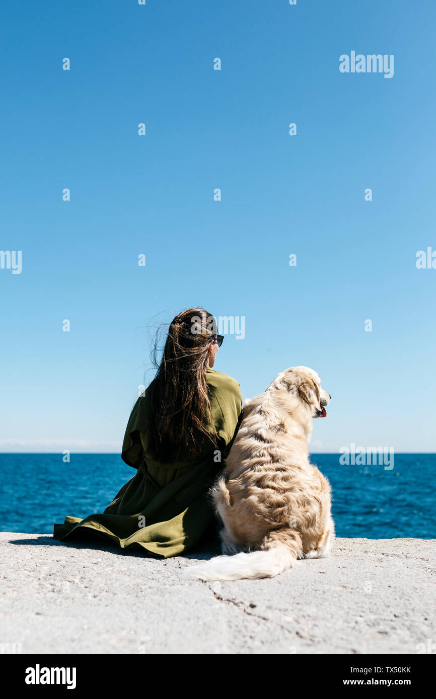 Labrador retriever dog sitting back hi-res stock photography and images ...