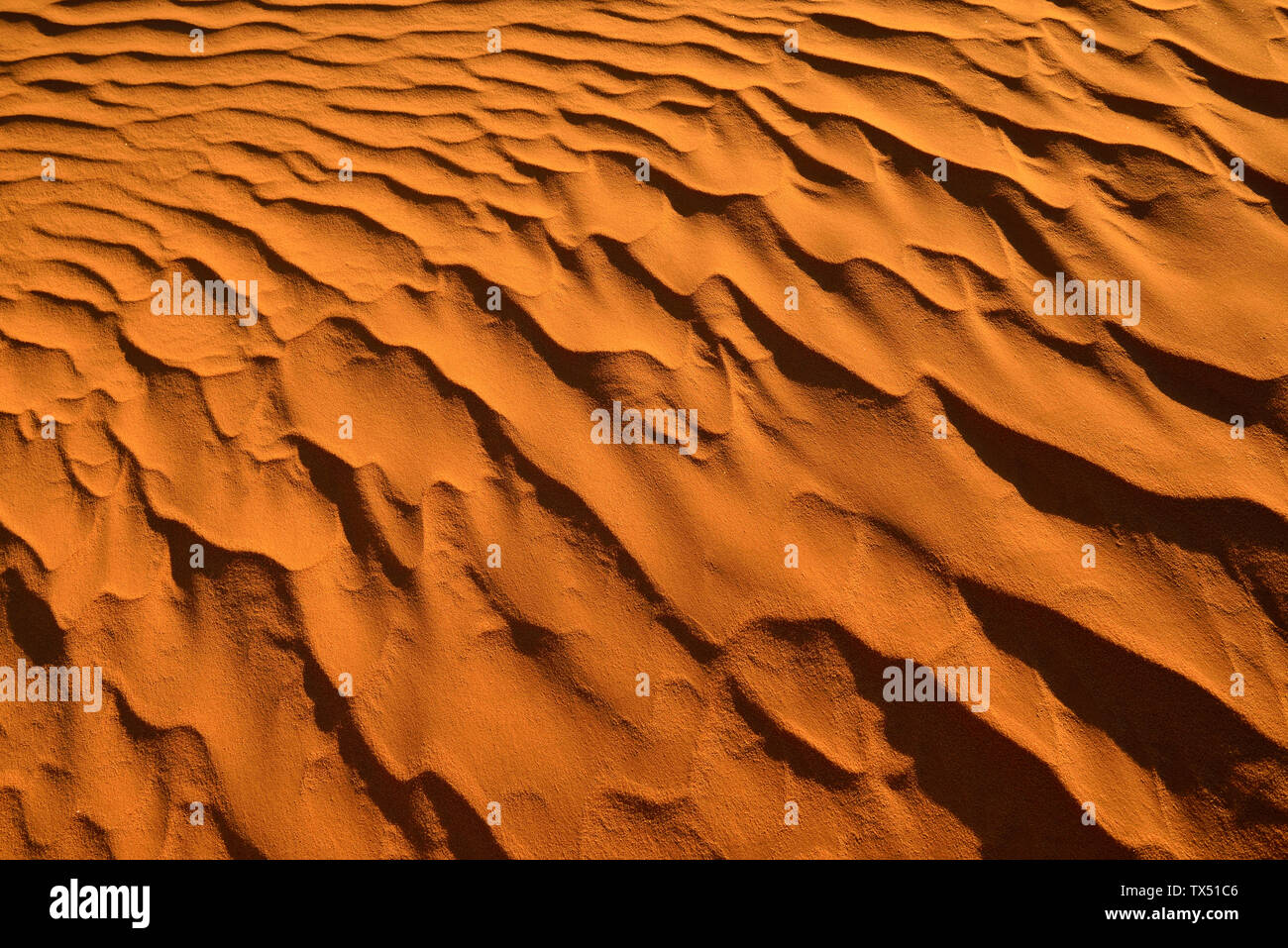 Africa, Algeria, Sahara, ripple marks, texture on a sanddune Stock ...