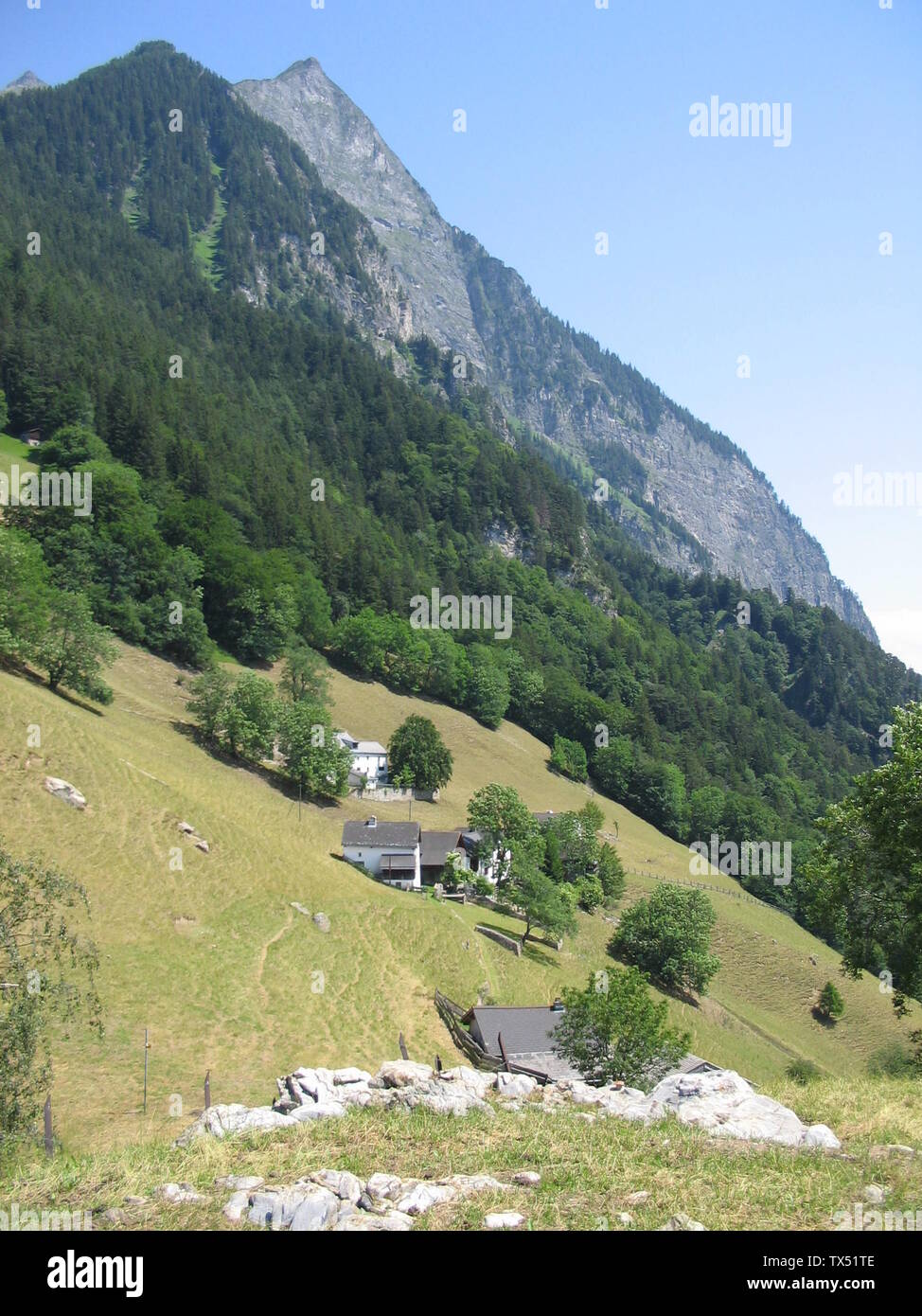 Pedia de hi-res stock photography and images - Alamy