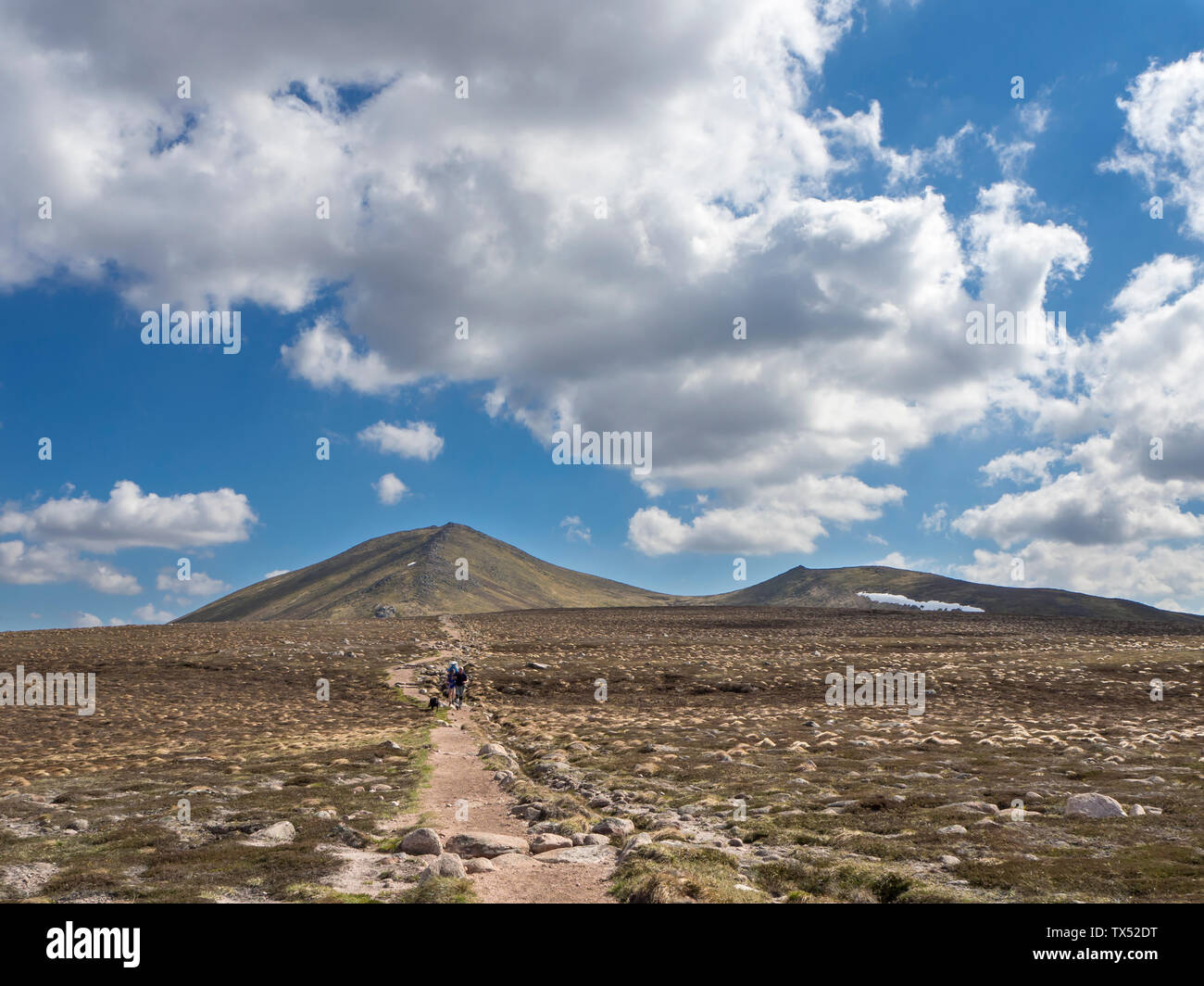 Bynack hi-res stock photography and images - Alamy