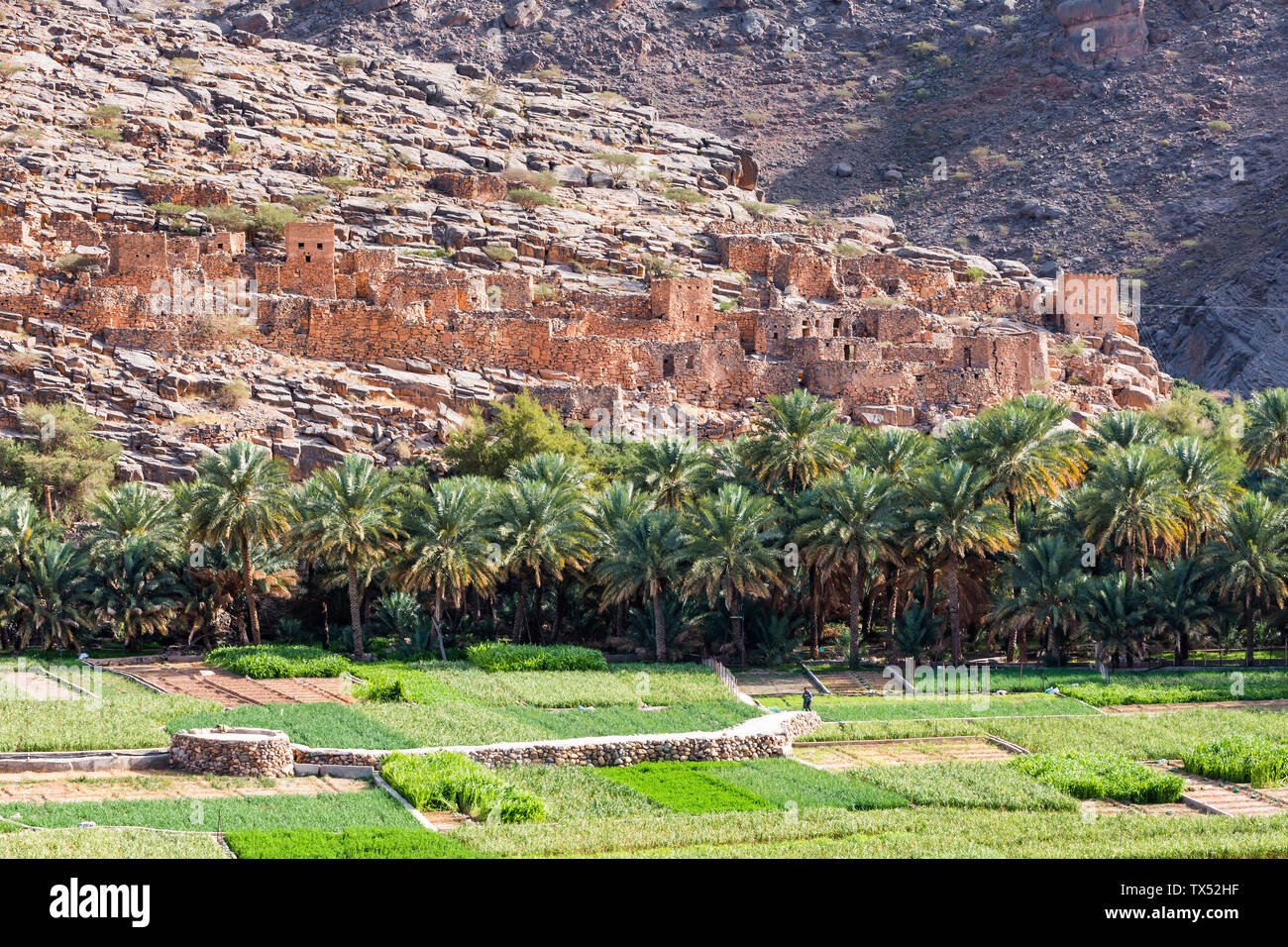 Al fields hi-res stock photography and images - Alamy
