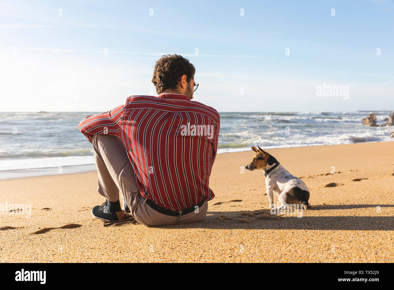 Can Dogs Sit Like Humans