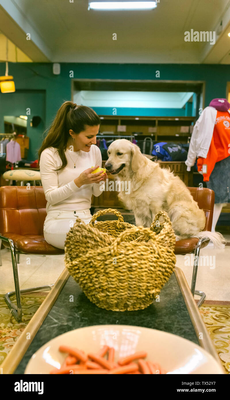 Dog sitting on chair hi-res stock photography and images - Alamy