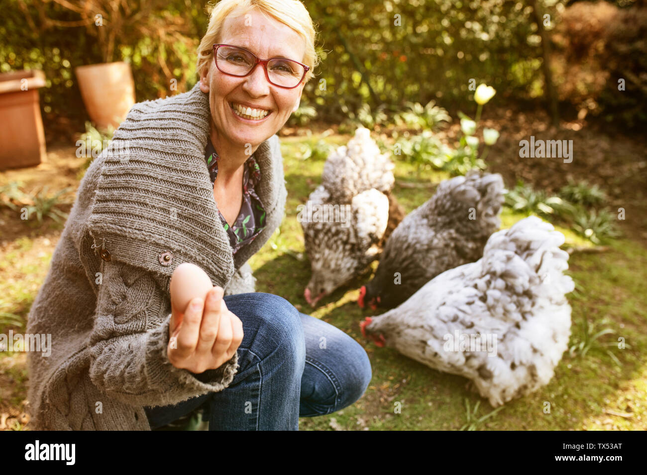 Crouching chicken hi-res stock photography and images - Alamy