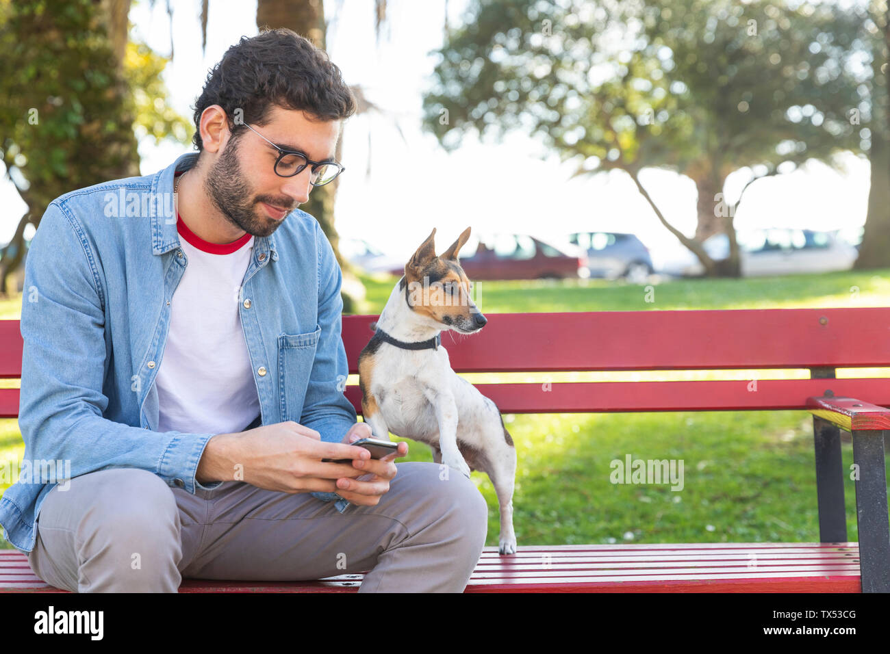 Man on park bench with dog hi-res stock photography and images - Alamy