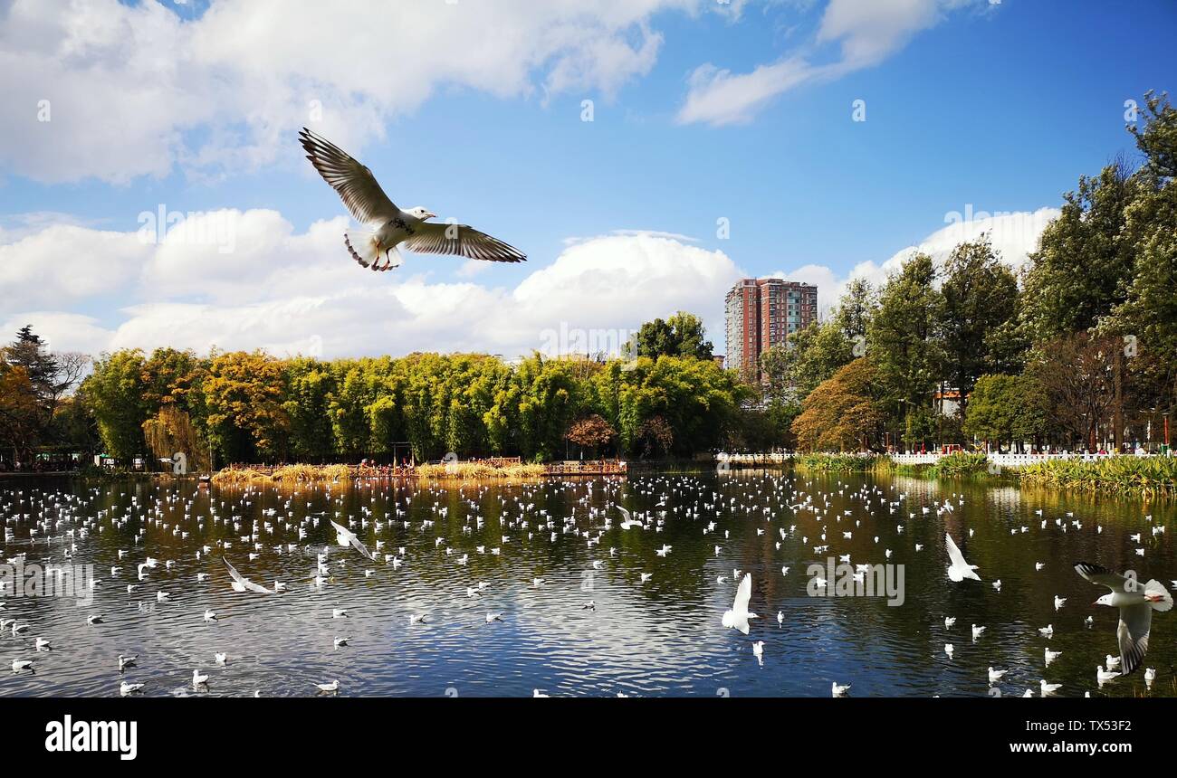 Dianchi Lake Scenery Stock Photo - Alamy