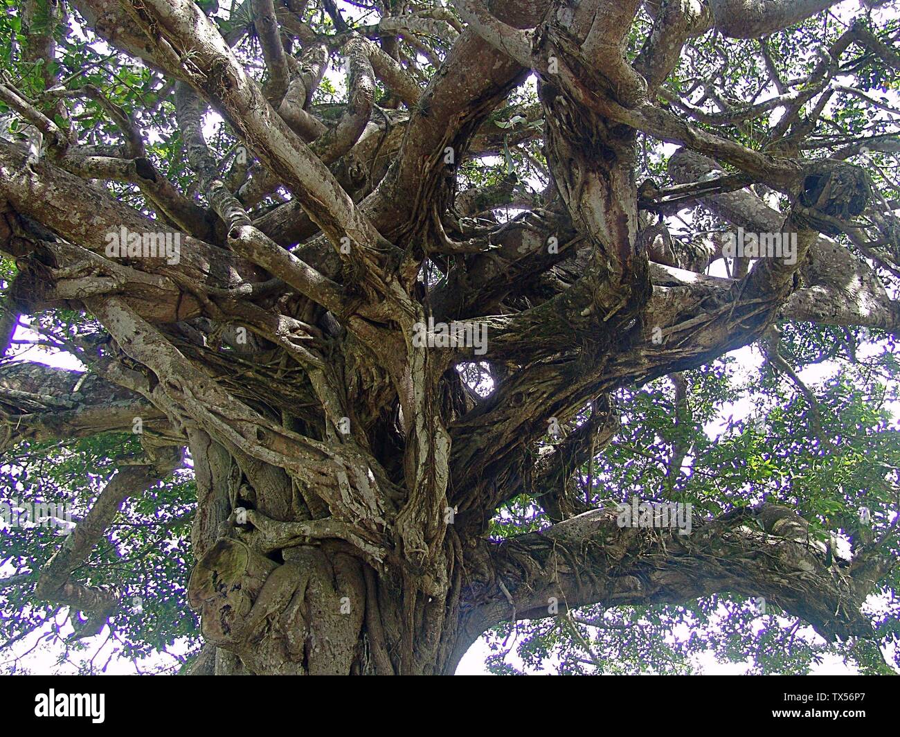 F 1 foto hi-res stock photography and images - Alamy