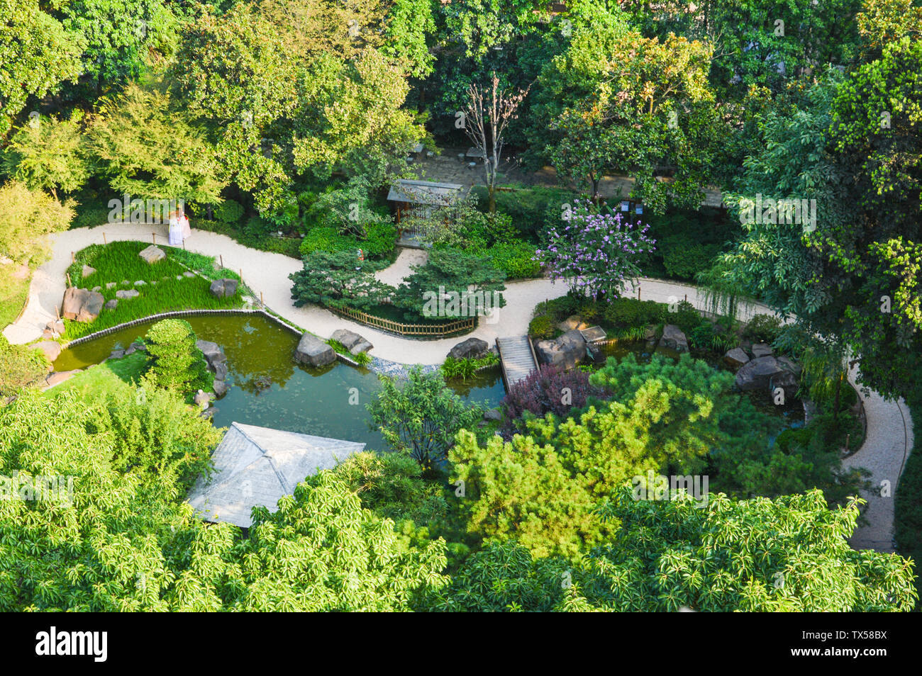 Goose ridge park hi-res stock photography and images - Alamy