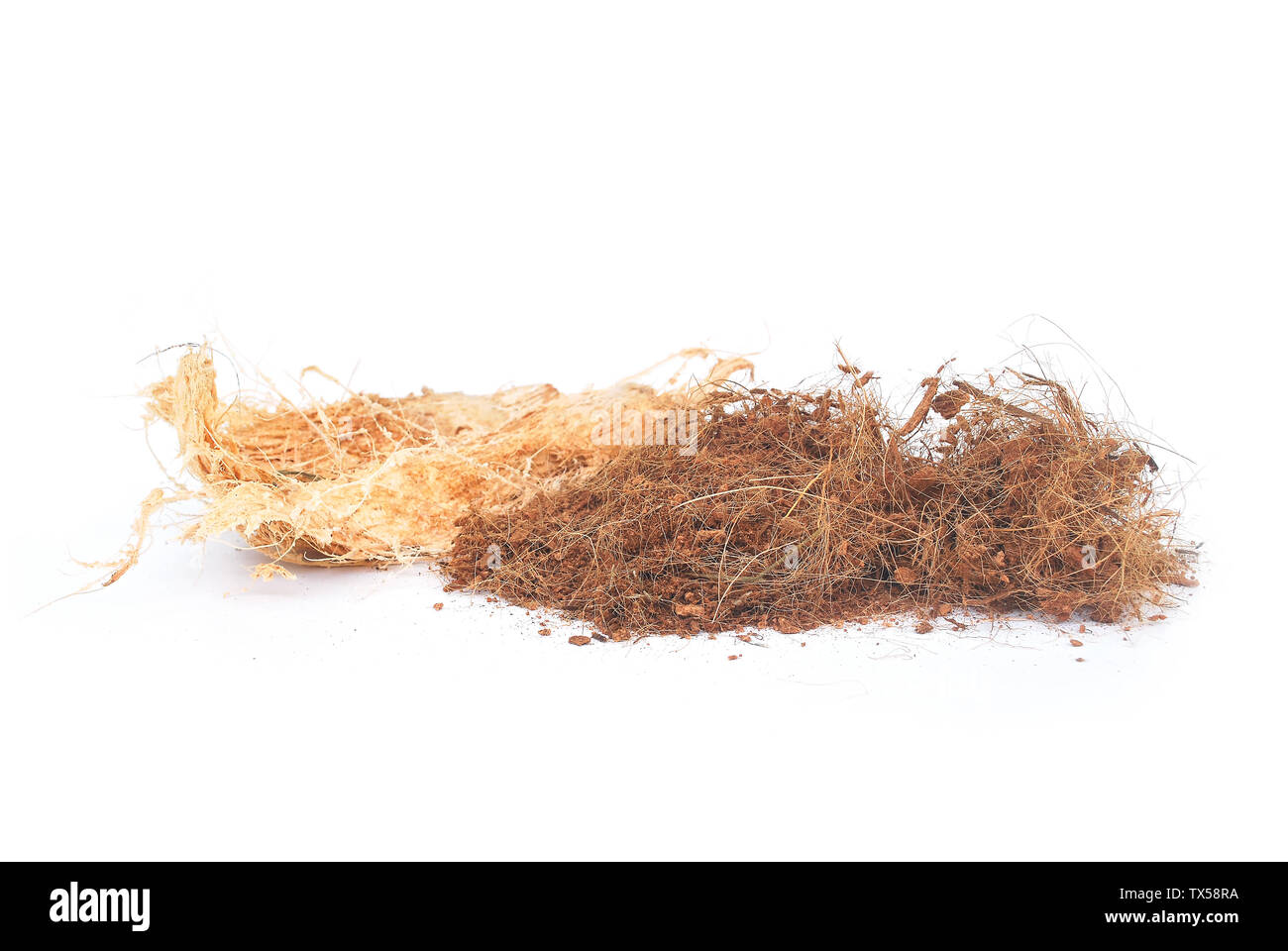 Coconut soil Cut Out Stock Images & Pictures - Alamy