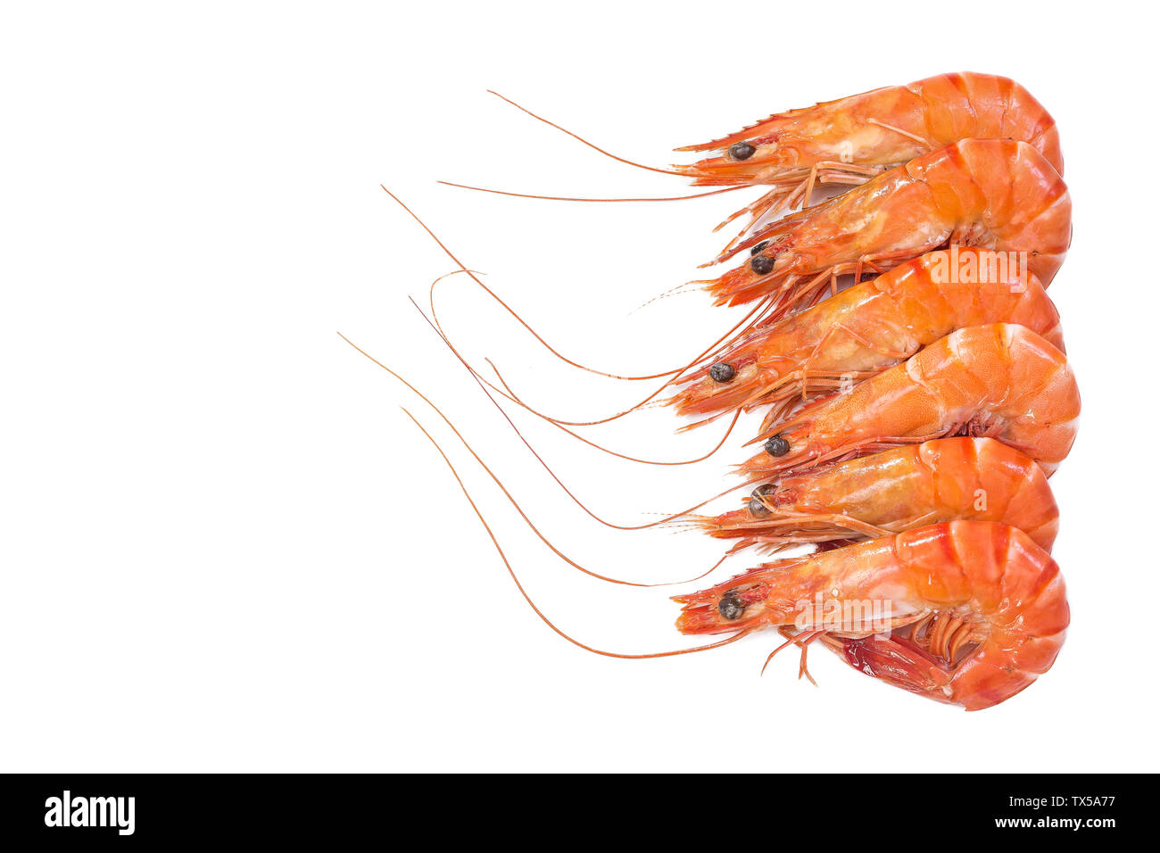 Prawn shells hi-res stock photography and images - Alamy