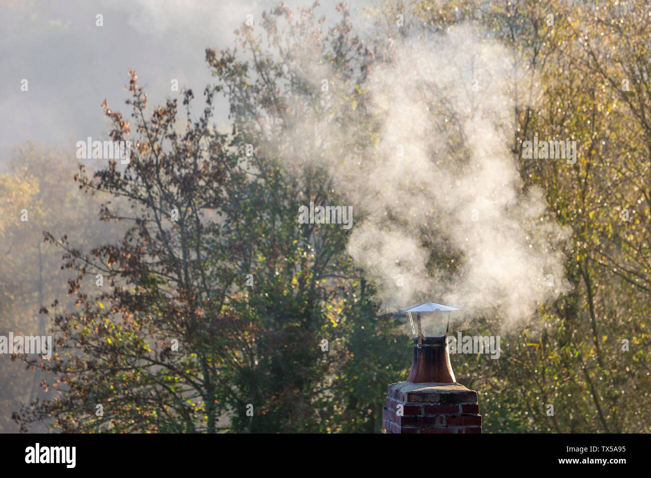 Chimney forest hi-res stock photography and images - Alamy