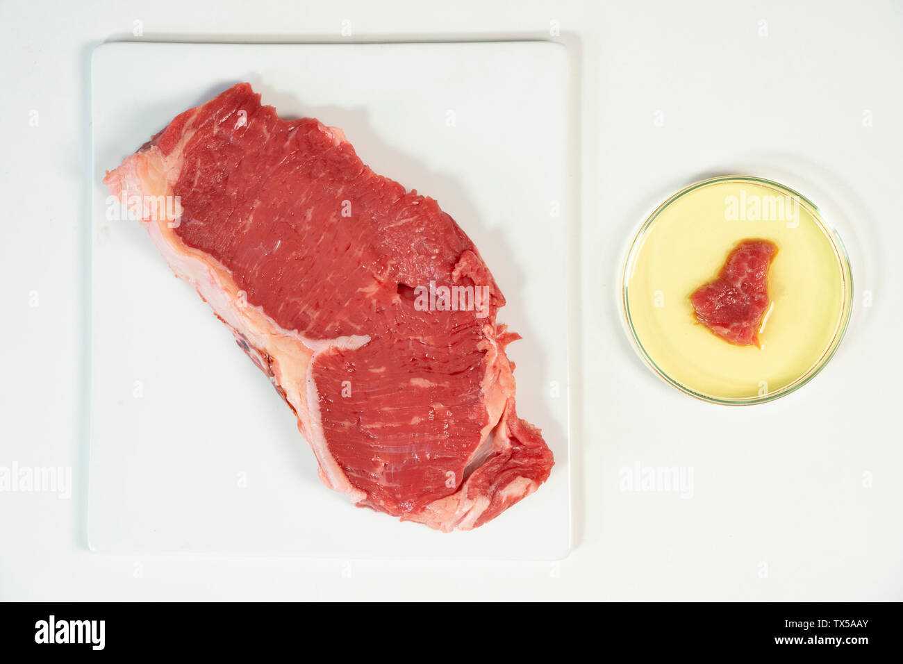 Transmission Electron Microscopy Cells High Resolution Stock ...