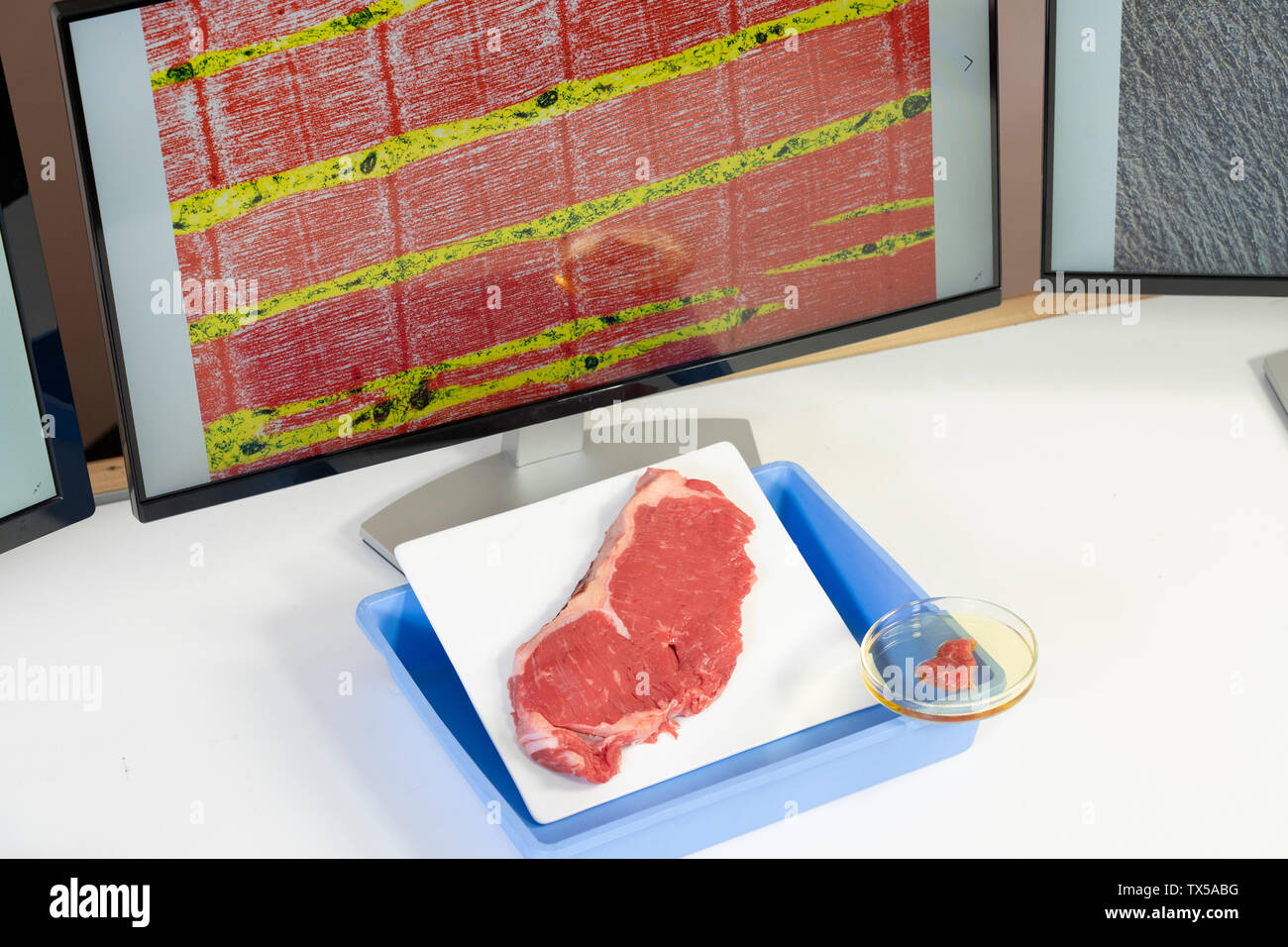 Steak in a lab Stock Photo - Alamy