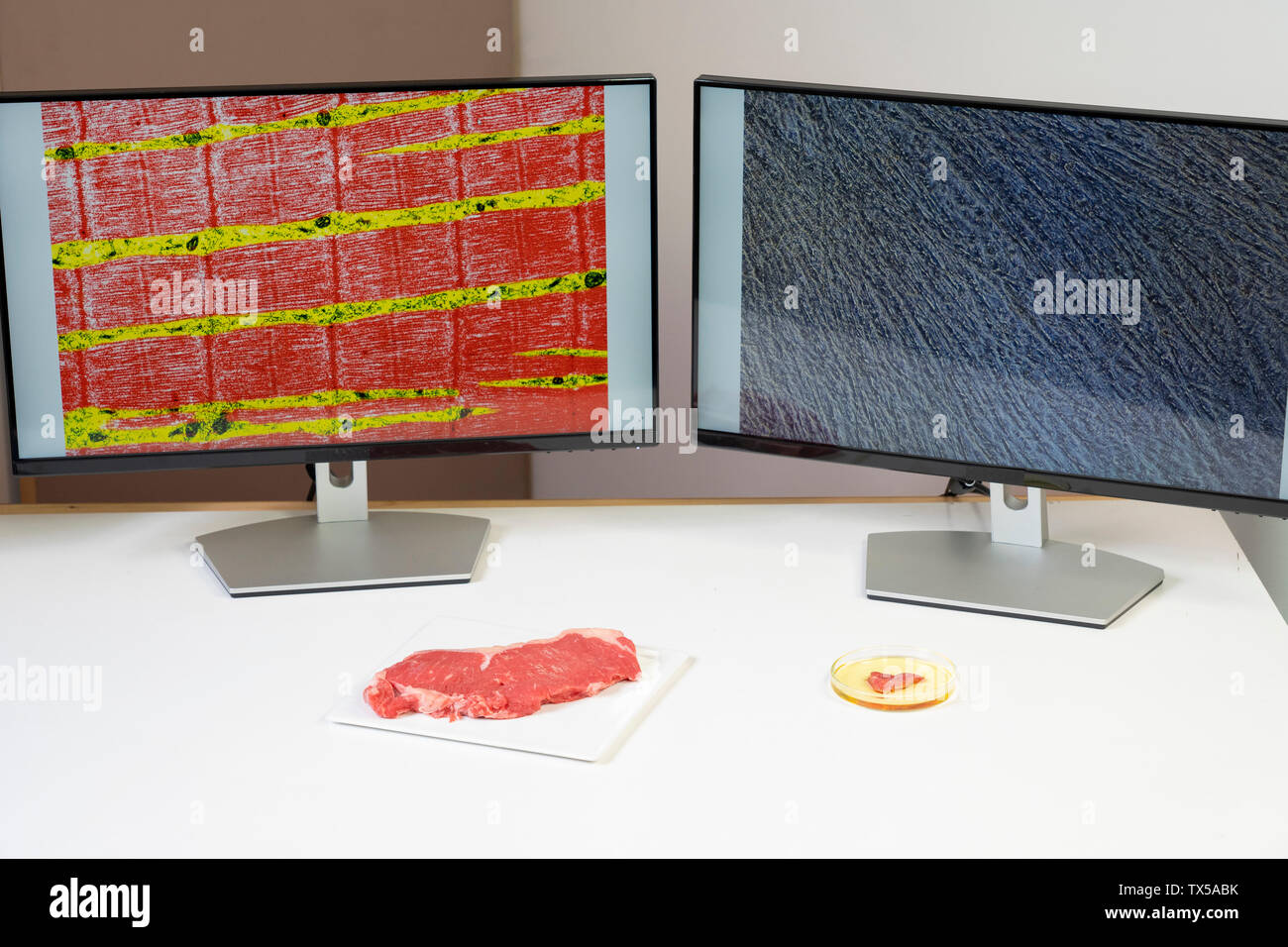 Steak in a lab Stock Photo - Alamy