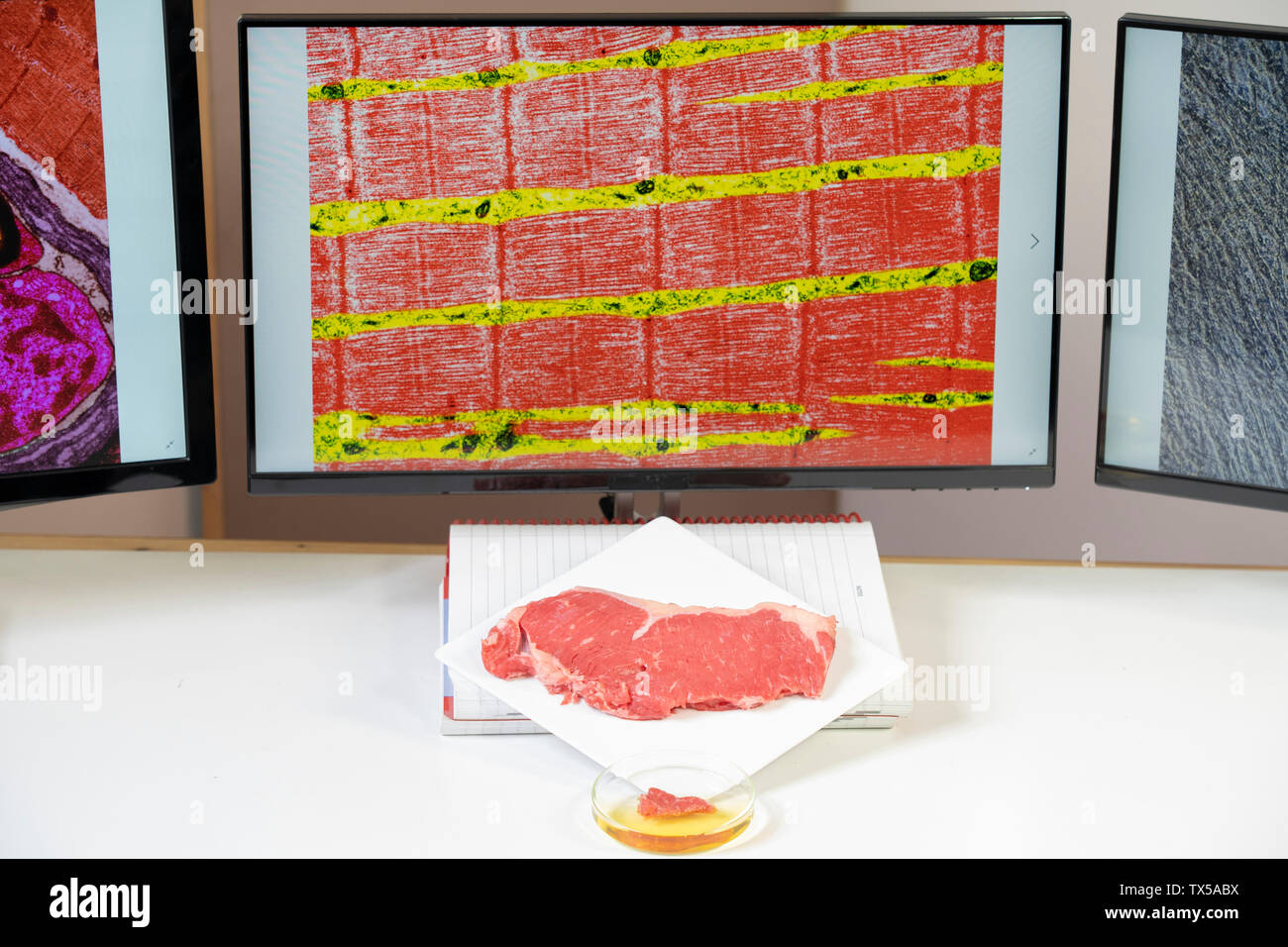 Steak in a lab Stock Photo - Alamy