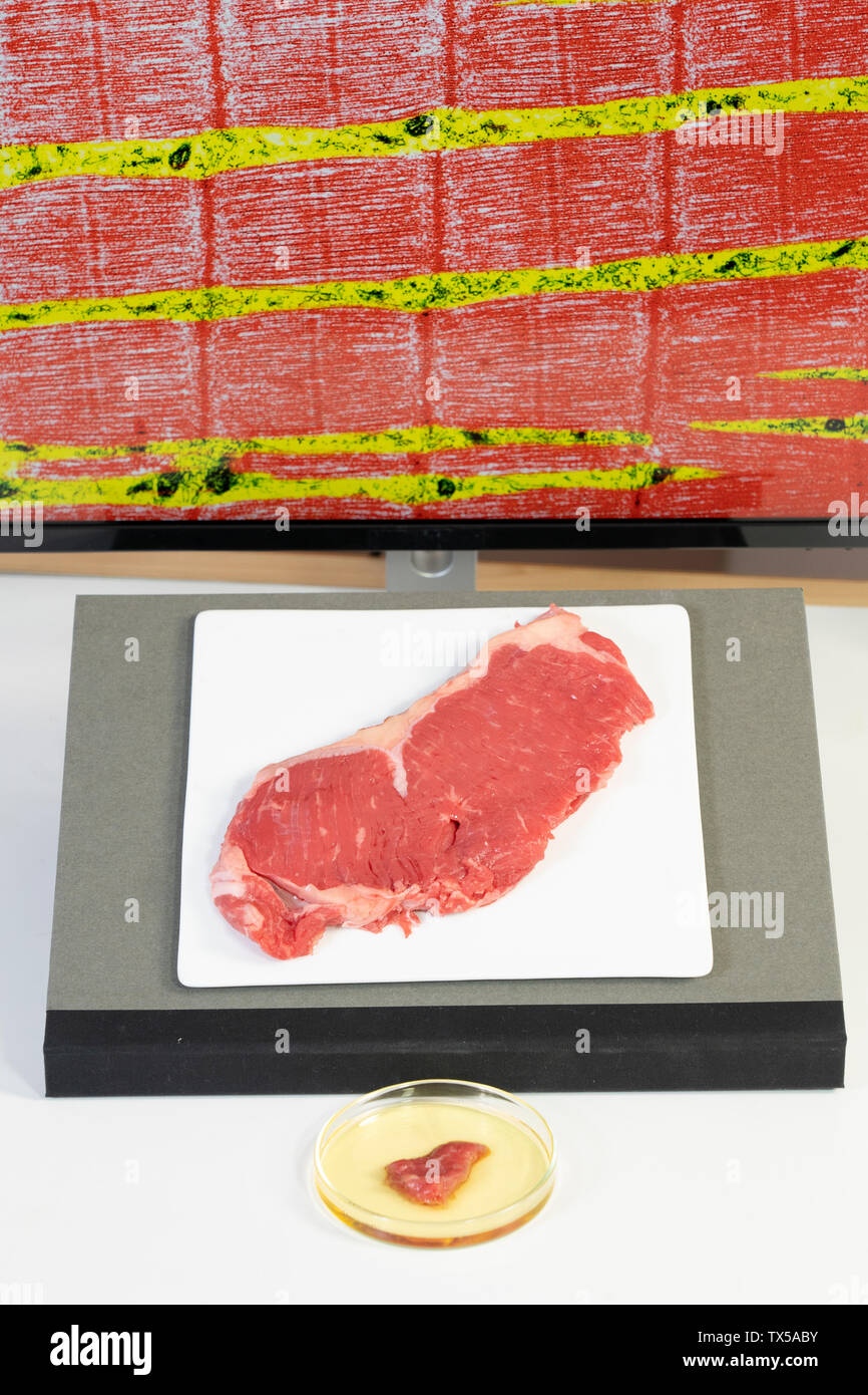 Steak in a lab Stock Photo - Alamy