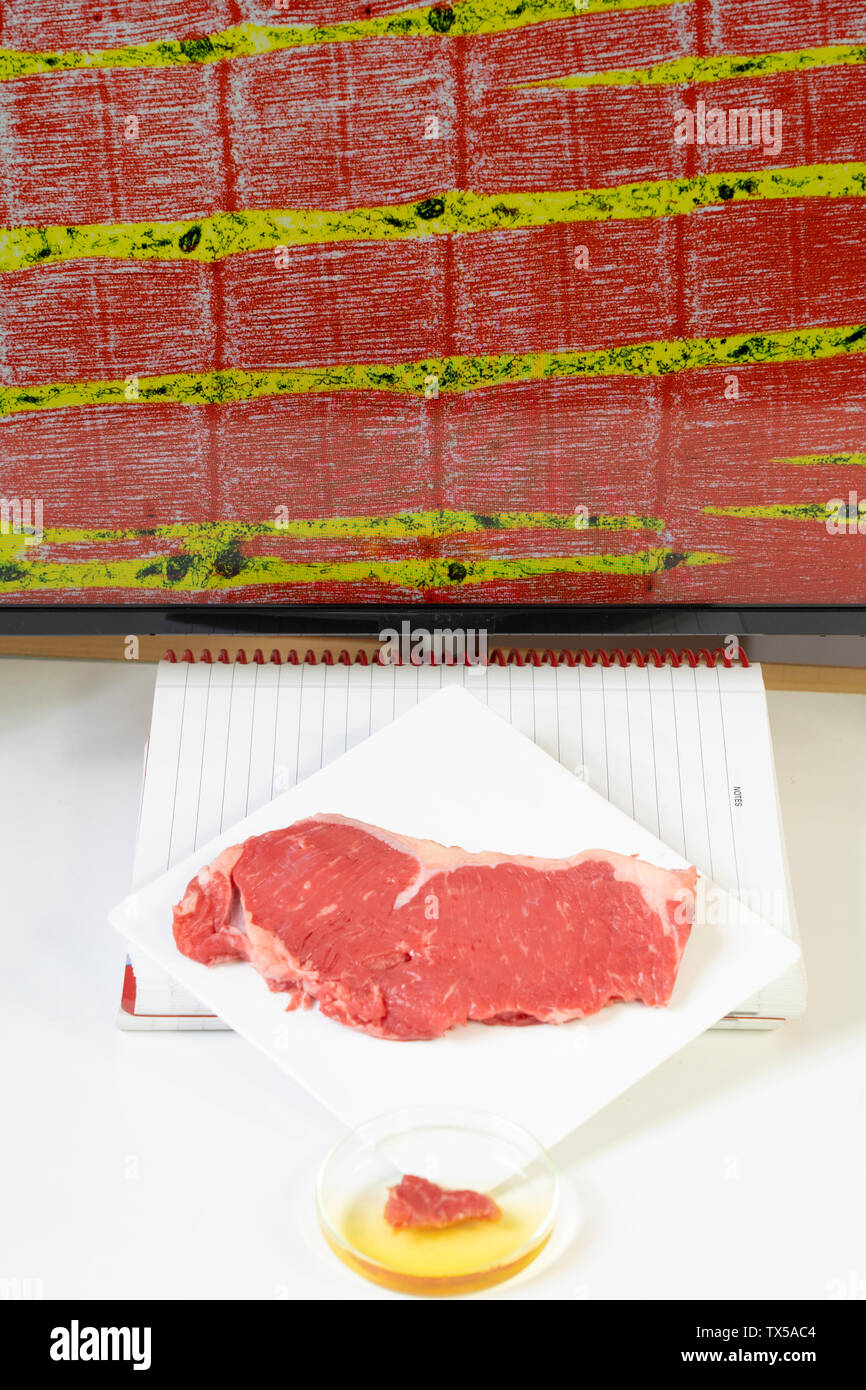 Steak in a lab Stock Photo - Alamy
