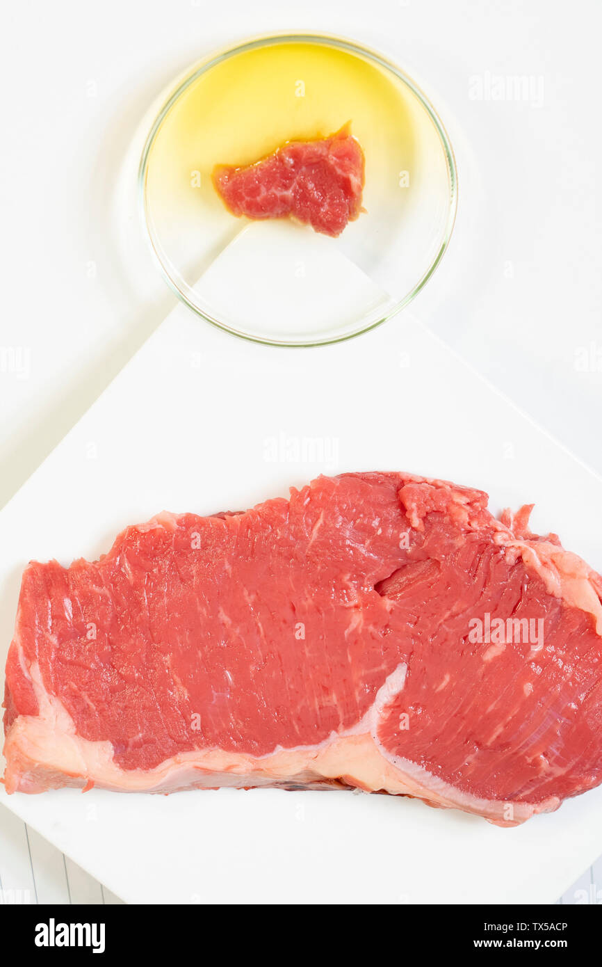 Steak in a lab Stock Photo - Alamy