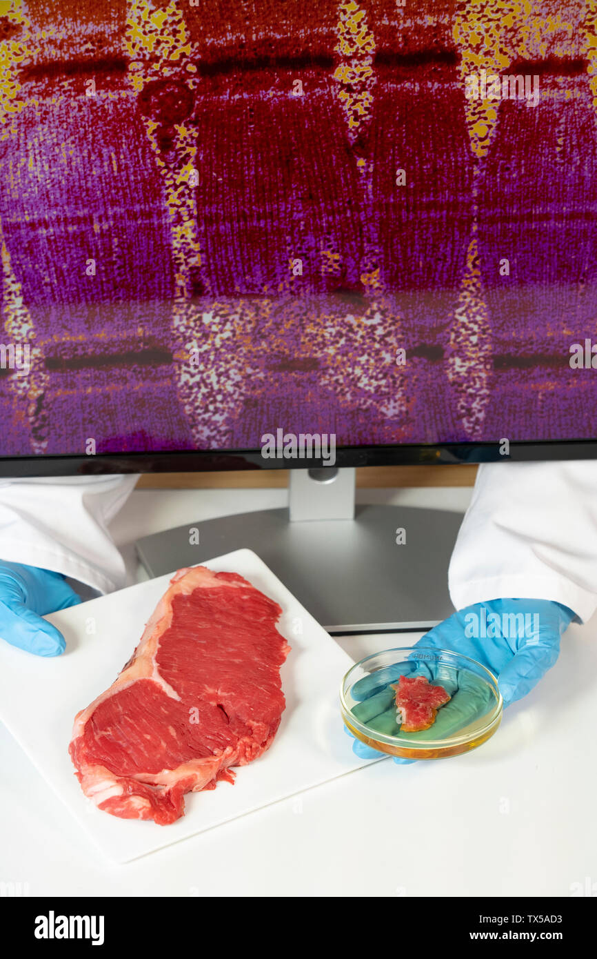 Steak in a lab Stock Photo - Alamy