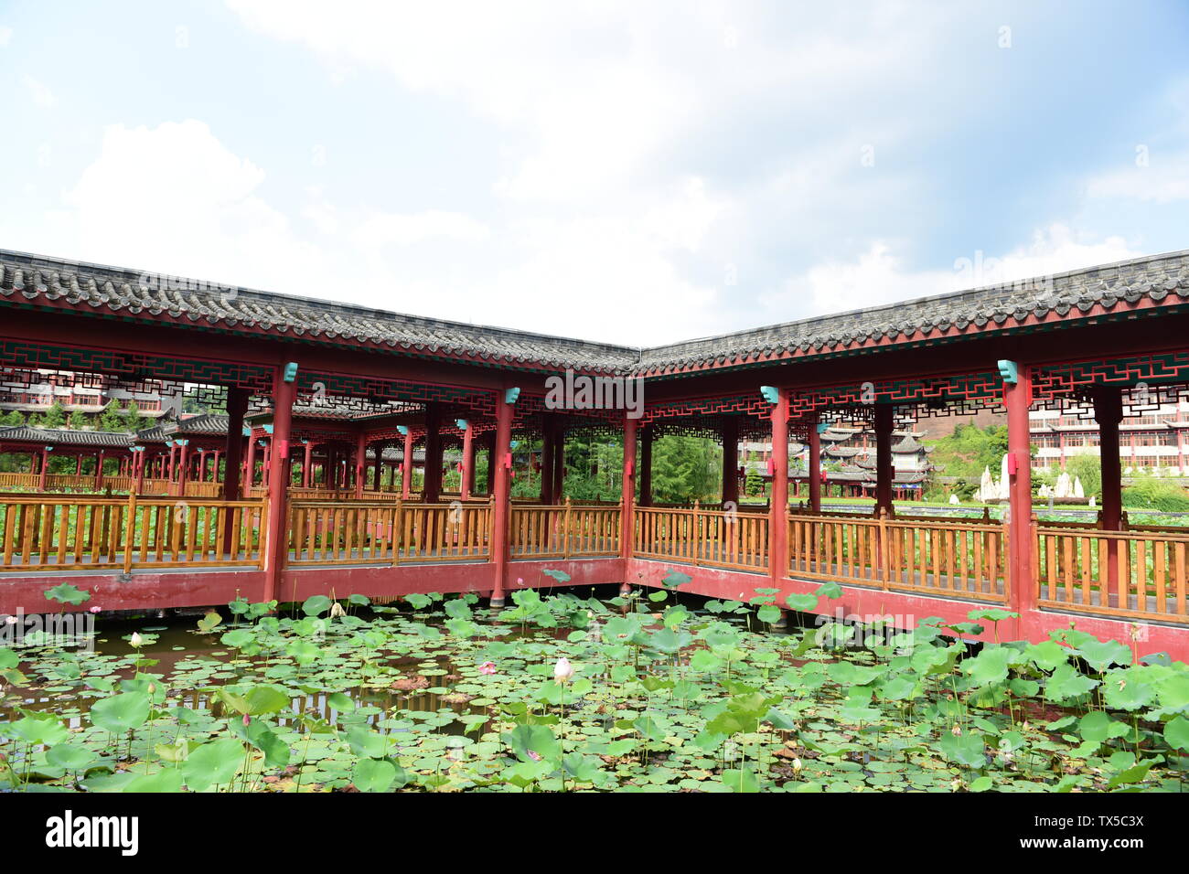 Antique architecture and lotus pavilion lotus Stock Photo - Alamy