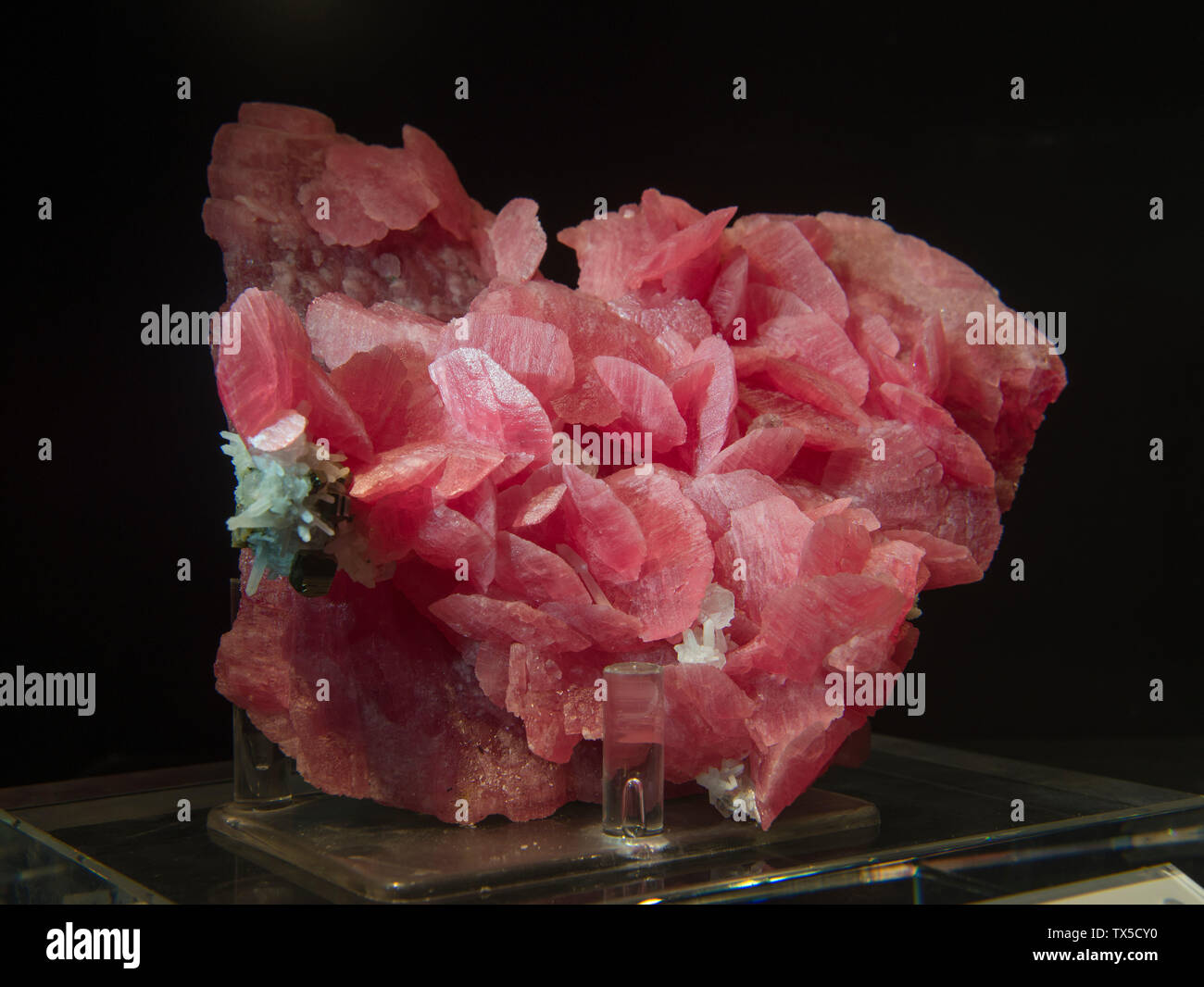 Rhodochrosite.Geological Museum of China Stock Photo - Alamy