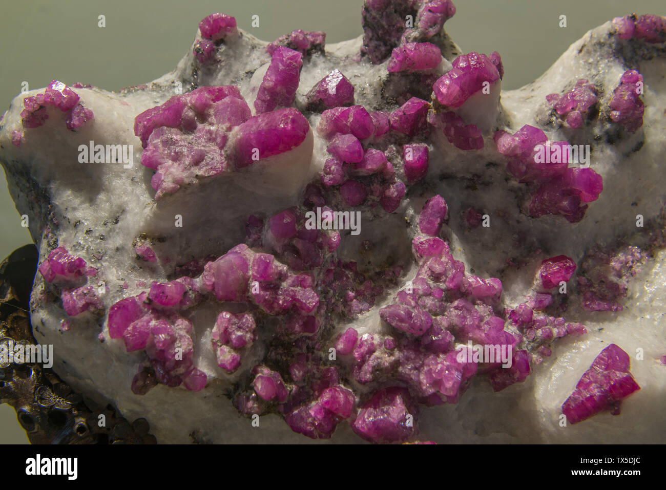 Geological Museum Of China High Resolution Stock Photography and Images ...