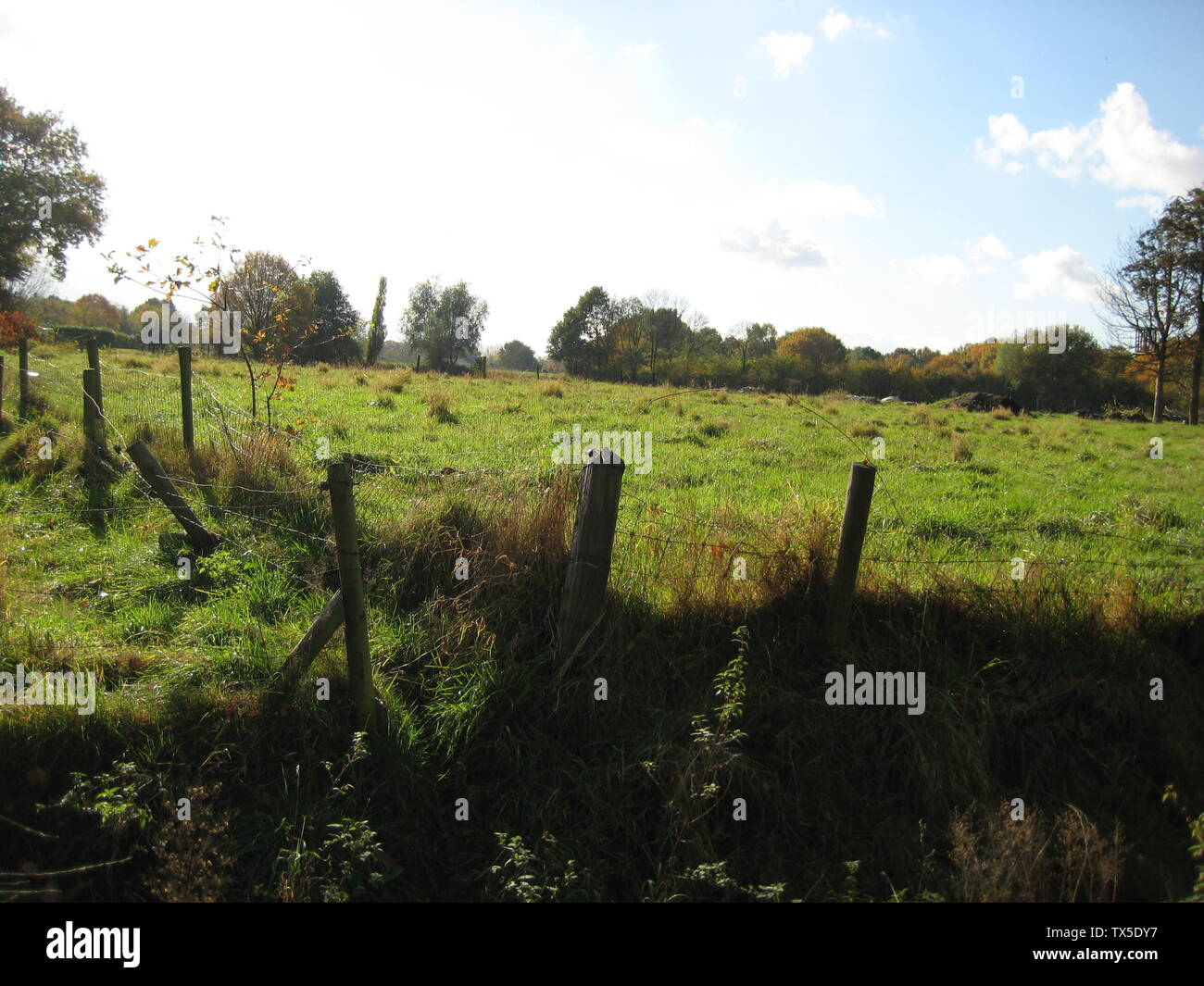 Eigen foto hi-res stock photography and images - Alamy