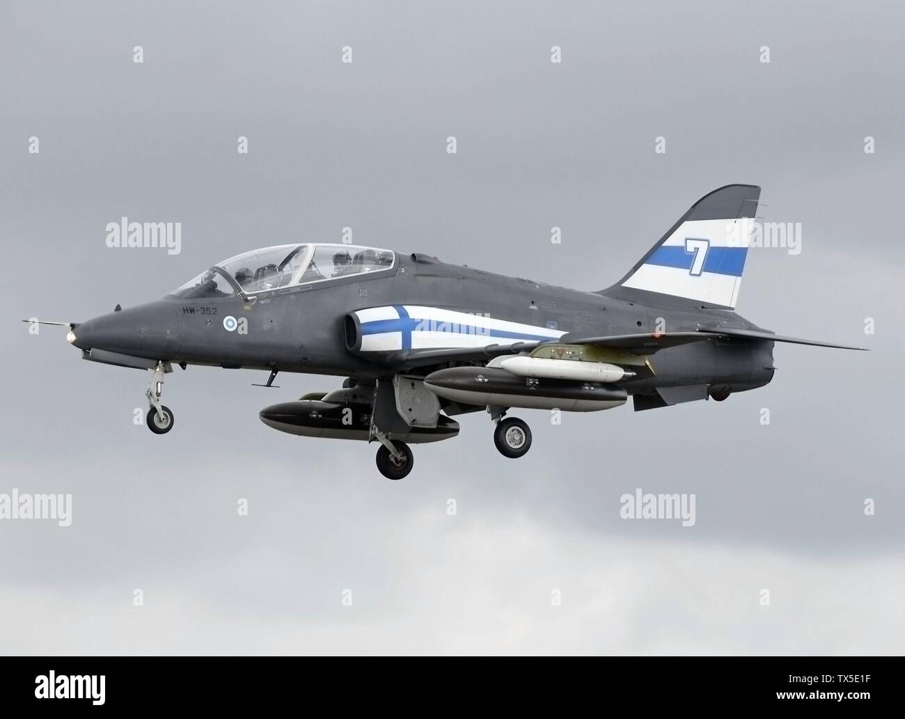 Finnish hawk hi-res stock photography and images - Alamy