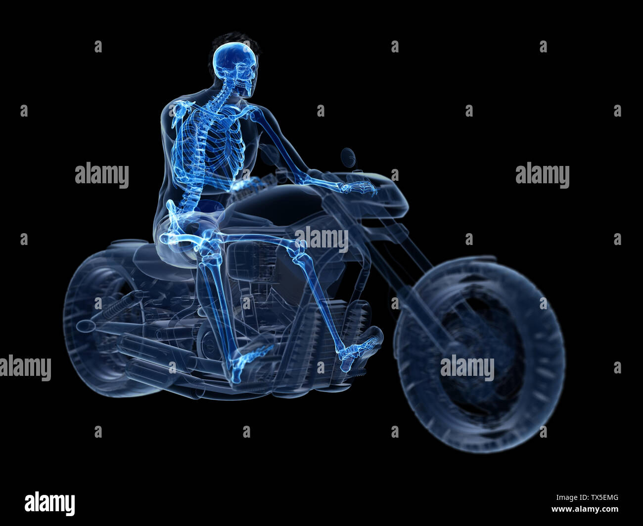 Man bike anatomy hi-res stock photography and images - Alamy