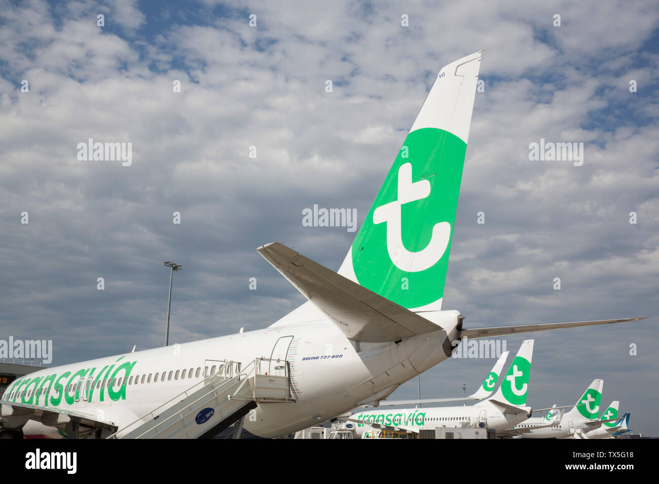 Transavia logo hi-res stock photography and images - Alamy