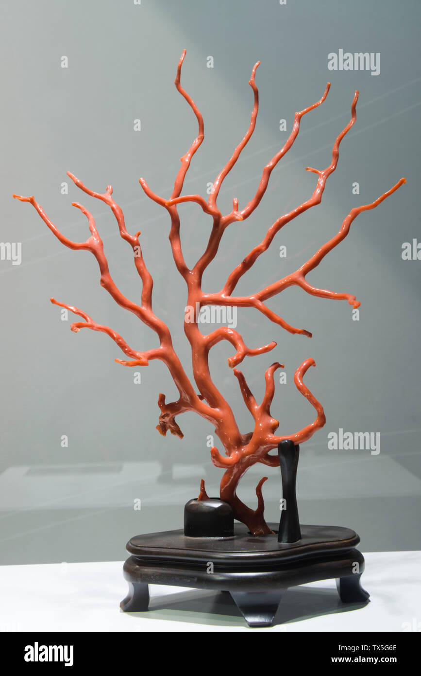 Coral from Taiwan. Geological Museum of China Stock Photo - Alamy