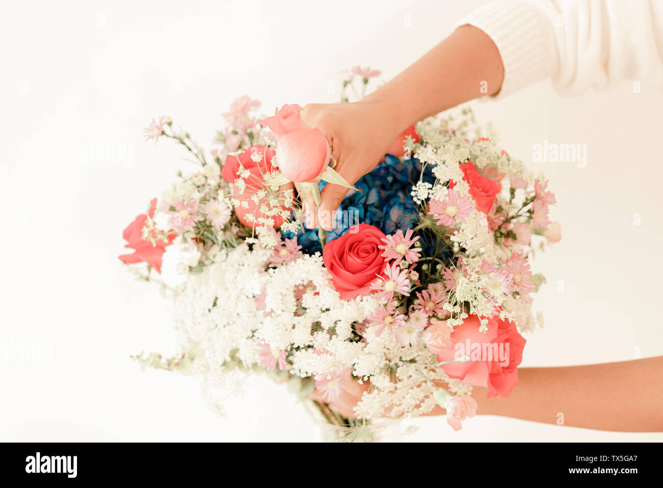 Woman's hand decorating floral arrangement Stock Photo - Alamy