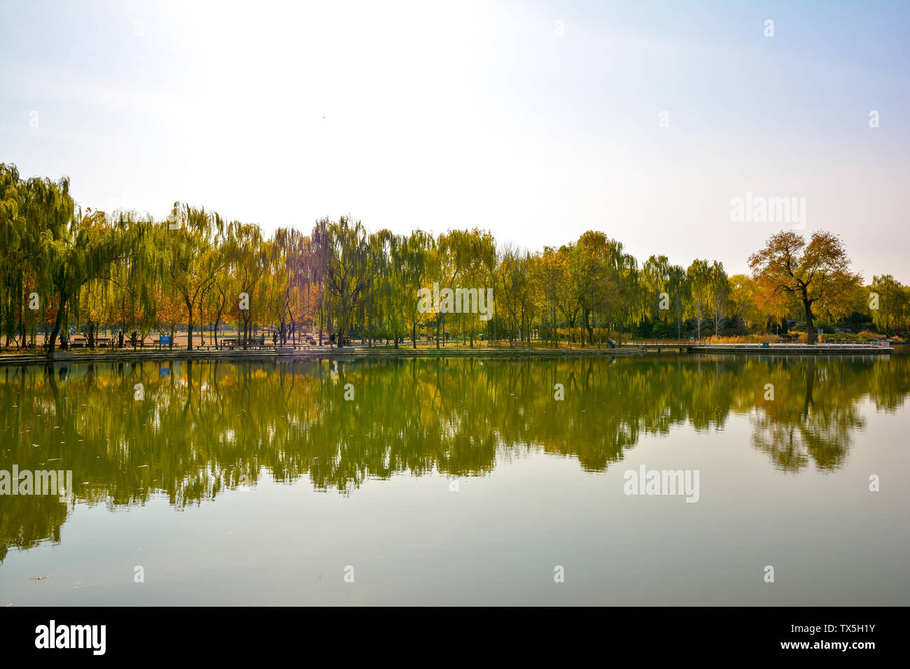 Autumn Color of AI Haidian Park Wisdom Park, Haidian District, Beijing ...
