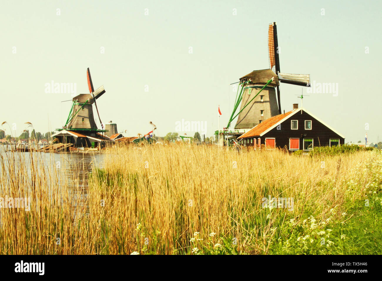 Dutch windmill village Stock Photo - Alamy