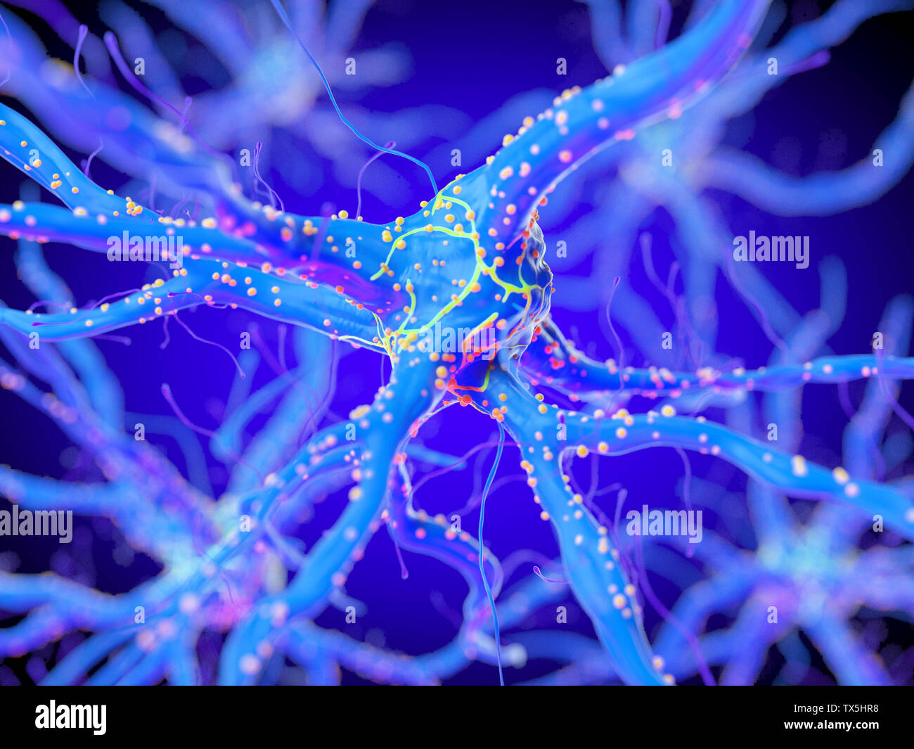3d rendered, medically accurate illustration of a nerve cell Stock ...