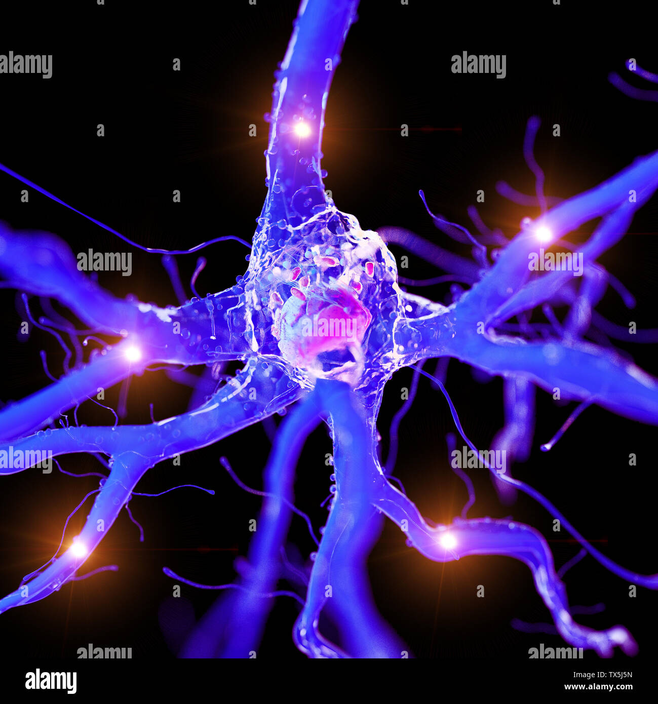 Nerve cell artwork science hi-res stock photography and images - Alamy