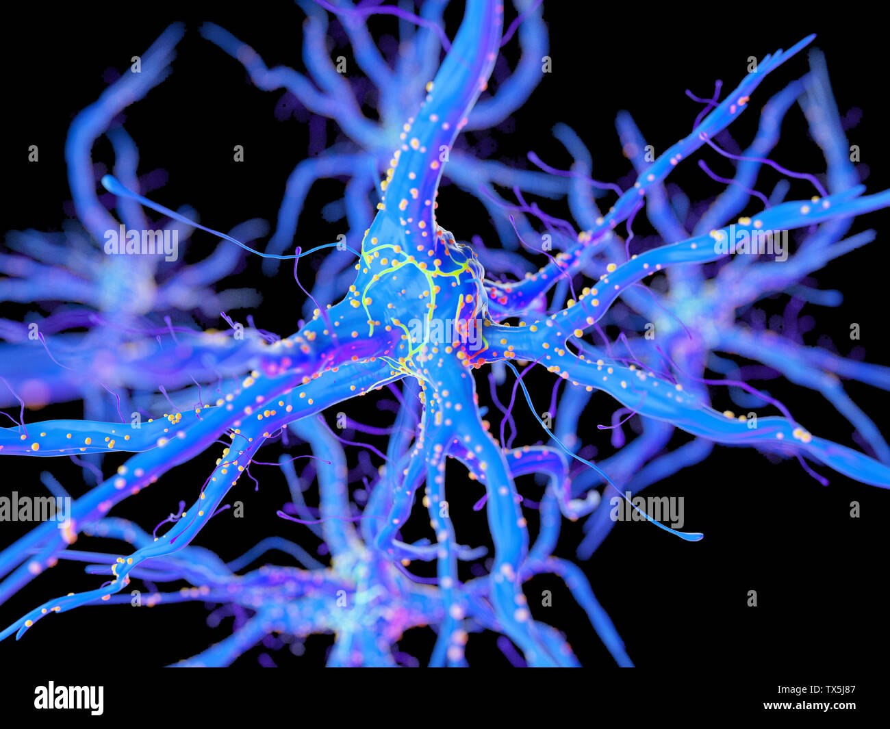 3d rendered, medically accurate illustration of a nerve cell Stock ...